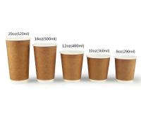 China 8oz 12oz 16oz Disposable Paper Cups for Hot and Cold Drinks with Lids and Stirrers for sale