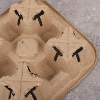 China Disposable Biodegradable Pulp Cup Holder for 1-4 Cups 8-32oz Takeout Coffee Tea for sale