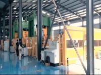 China Heavy Duty Robotic Metal Stamping Line 500kg to 800kg Payload Automated Press Line for sale