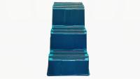 China 12 Inches Height Custom Plastic Step Stool With Customizable Design Step 1 for sale