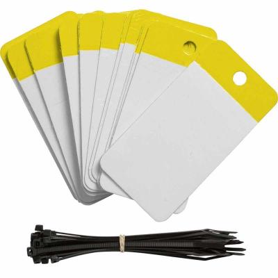 China Custom Self Laminated Blank Tag Vinyl Corlorful Plastic Tag for sale