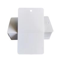 China Plastic Blank Tag PVC Recycle  Blank White Hang Tag for sale