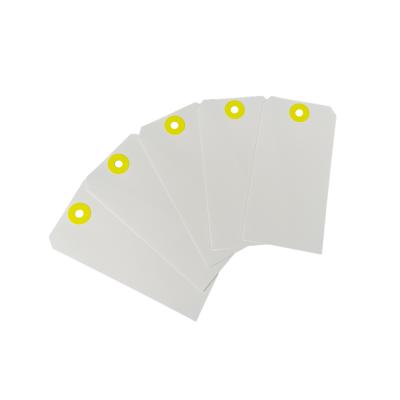 China Vinyl Blank Gift Tag  PVC Tear Proof Waterproof Plastic Tag with Wire Tie for sale
