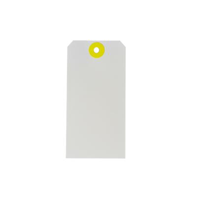 China Custom  Waterproof Blank  Shipping Tag Synthetic Paper Hang Tags. for sale