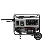 China 12kW 10kW Dual Fuel Portable Generator 120V 240V Electric Start Silent Power for sale