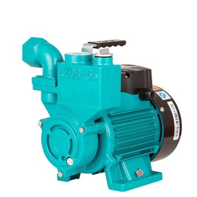 China 220V Self-Priming Booster Pump 3.6 m³/h Flow 65m Head Cast Iron for Home Water Supply for sale