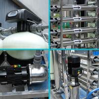 China 2 Stage Reverse Osmosis System EDI Ultra Pure Water Equipment for sale