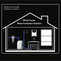 China European Standard Whole House Pre Filter 4T/H 40 Micron Brass 316L Stainless Steel for sale