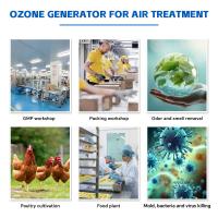 China Ozone Generator 3g 10g Water Treatment Sterilization Equipment 180W 400m³ for sale