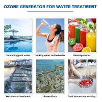 China Ozone Generator 3g 10g Water Treatment Sterilization Equipment 180W 400m³ for sale