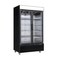 China Single Temperature 7A 2 Glass Door Freezer Merchandiser 110V 60HZ for sale
