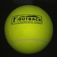 China 9.5 Inch Jumbo Inflatable Tennis Ball Polyester Felt Waterproof 250g for sale