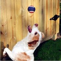 China Pet Tennis Ball 2.5 Inch Dog Toy Polyester Felt Rubber Non Toxic Safe for sale