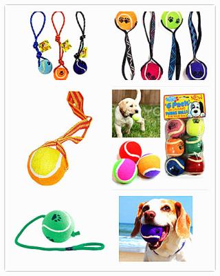 China pet outdoorpets training goodscarriers & houses