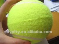 China Eco-friendly Pet toys for dogs playing for sale