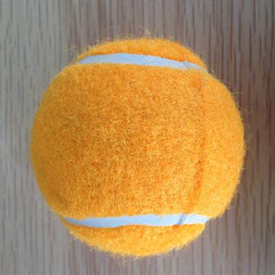 China pet outdoorpets training goodscarriers & houses