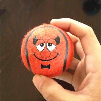 China Natural Rubber Pet Tennis Ball 2.5 Inch Safe Dog Ball Custom Logo for sale