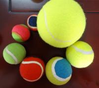 China animal squeaker tennis ball for sale