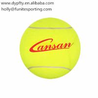 China Inflatable Bouncing Ball Pet Toy 9.5 inch Polyester Felt Rubber Bladder Custom Logo for sale