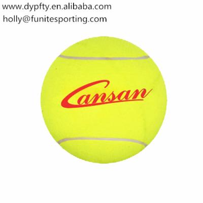 China Inflatable Bouncing Ball Pet Toy 9.5 inch Polyester Felt Rubber Bladder Custom Logo for sale