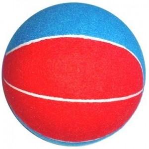 China Custom Printed Pet Toy Tennis Ball 9.5 Inch Durable Polyester Felt Rubber Bladder for sale
