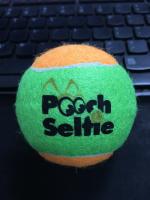 China Natural Rubber Pet Tennis Balls 63mm Durable Dog Toy for Interactive Play for sale