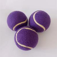 China Squeaky Tennis Balls for Dogs 2.5 Inch Pet Training Toys for Positive Reinforcement for sale