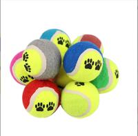 China Squeaky Tennis Ball Dog Toy 2 Pack Non Toxic Natural Rubber Pet Balls for sale