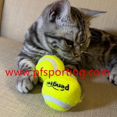 China Latex Squeaky Dog Ball Toy 2.5 Inch Soft Rubber Bouncy Fetch Ball for Small Medium Pets for sale