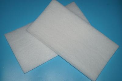 China Filtering Mat 250x470mm High Quality Replacement Filter 92.196.1811 for sale