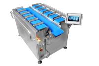 China 1000W Conveyor Belt Weigher 10 Screen Multihead Weighing System 2000g Capacity for sale