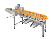 China Circular Weight Sorter Machine 500g MultiWeight Seafood Fish Shrimp Sorting Grader for sale