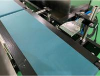 China CW220 Check Weigher Machine High Accuracy 1000g Capacity 220mm Belt Width for sale