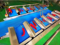 China 1000W Conveyor Belt Weigher 10 Screen Multihead Weighing System 2000g Capacity for sale