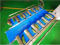 China 1000W Conveyor Belt Weigher 10 Screen Multihead Weighing System 2000g Capacity for sale