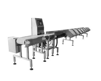 China Automatic Fresh Food Weight Grading System Conveyor Fruit Fish Sorting Machine 500g for sale