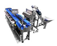 China Fully Automatic Selection Weight Sorter Equipment Check Weighing Machine for Classifying Fish Fillet for sale