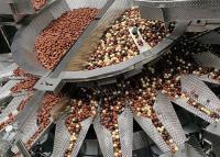 China 10 Head Multihead Weigher 0.1g Accuracy Color Touch Screen for Sticky Foods Snacks for sale
