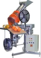 China Vegetable Fruit Check Weigher Machine 3g-5000g Real Time Printing Labeling Machine 220V for sale