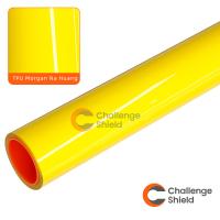 China oem/ode car paint protection film  100% UV Protection TPU Paint Protection Film for sale