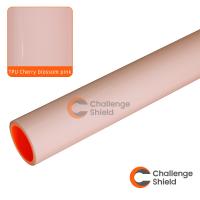China oem/ode car paint protection film  100% UV Protection TPU Paint Protection Film for sale