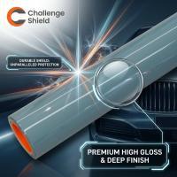 China oem/ode car paint protection film  100% UV Protection TPU Paint Protection Film for sale
