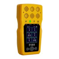 China BTQ-YA-C100FT Portable Multi Gas Detector with 5800mAh Battery for 10+ Hours Operation - CO O2 H2S LEL Analyzer for sale