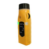 China YA-P100 Portable Single Gas Detector for CO/H2S with 12-Hour Battery Life and 2900mAh Power for sale