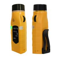 China YA-P100 Portable Carbon Monoxide Gas Detector with 12-Hour Battery Life and Triple Alarm System - 126×41.8×36mm Compact Design for sale