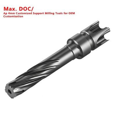 China Max. DOC/ Ap 4mm Customized Support Milling Tools for OEM Customization for sale