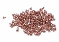 China Red Copper Nickel Tin Plated Flat Head Rivet 3mm 4mm DIN7338 - High Strength Industrial Fastener for sale