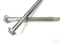 China 12 Point Polished Stainless Steel Silver Color Flange Screw For Industrial / Domestic Equipment for sale