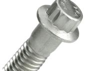 China M7 M12 M20 Stainless Steel 12 Point Flange Head Bolt SS304 SS316 A2-A4 for sale
