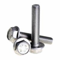 China M3 M4 M6 Stainless Steel Hex Flange Metal Bolt Plain SS304 SS316 DIN6921 for sale